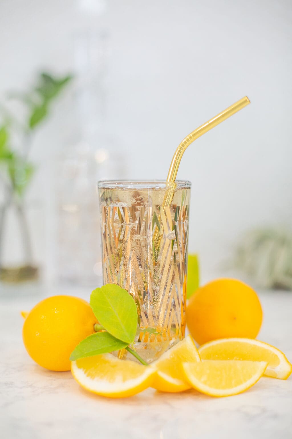 Gin and Ginger Ale Cocktail Recipe » Lovely Indeed