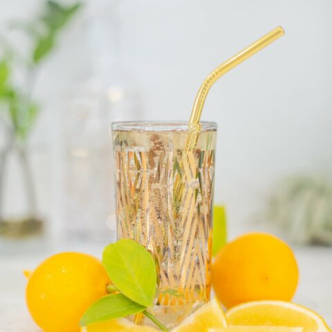 Gin and Ginger Ale Cocktail Recipe » Lovely Indeed