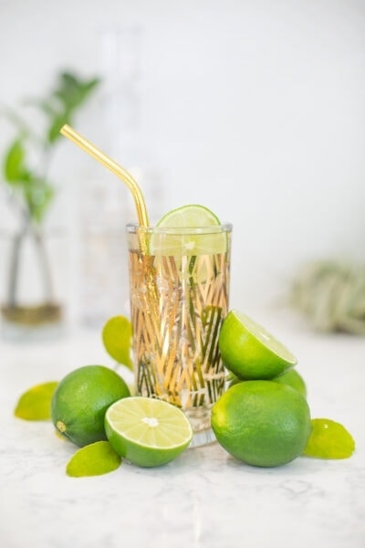 Gin and Ginger Ale Cocktail Recipe » Lovely Indeed