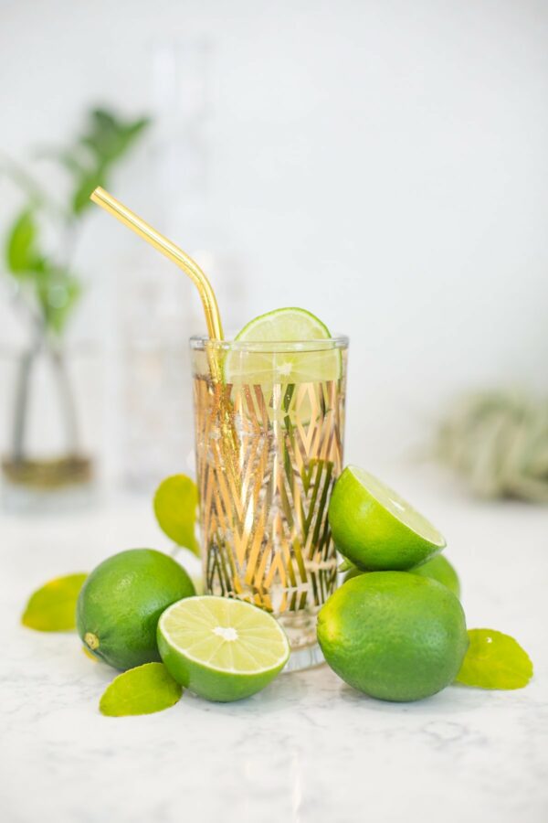 Gin and Ginger Ale Cocktail Recipe » Lovely Indeed